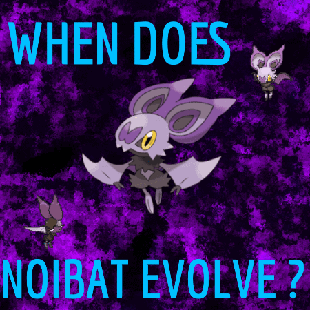 When Does Noibat Evolve?: Noibat Evolution Level Guide | PokemonCoders