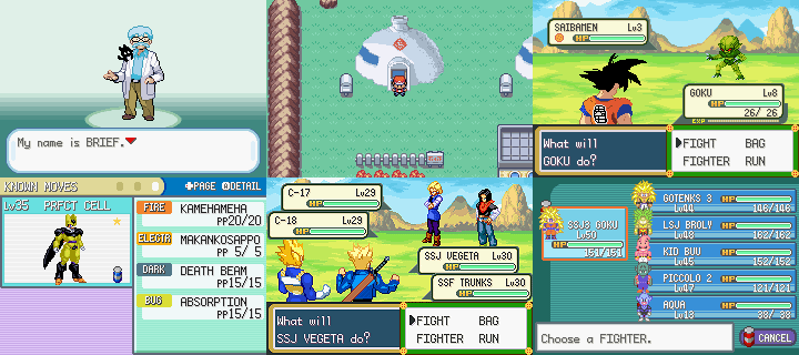 Dragon Ball Z Team Training | PokemonCoders