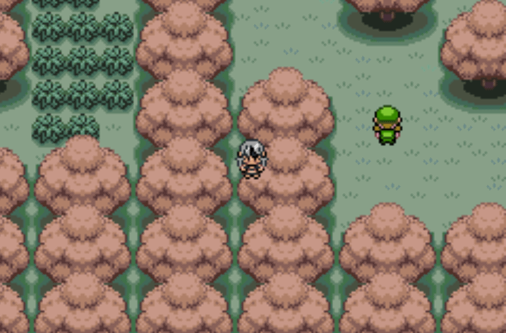 Pokemon Nameless Version Cheats | PokemonCoders