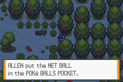 Pokemon Liquid Crystal Walkthrough | PokemonCoders