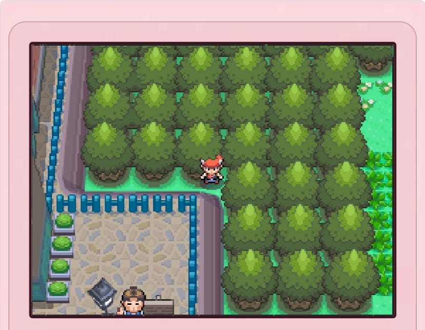 7 Best Nintendo DS Emulators For Cheating: Our Top Recommendations ...