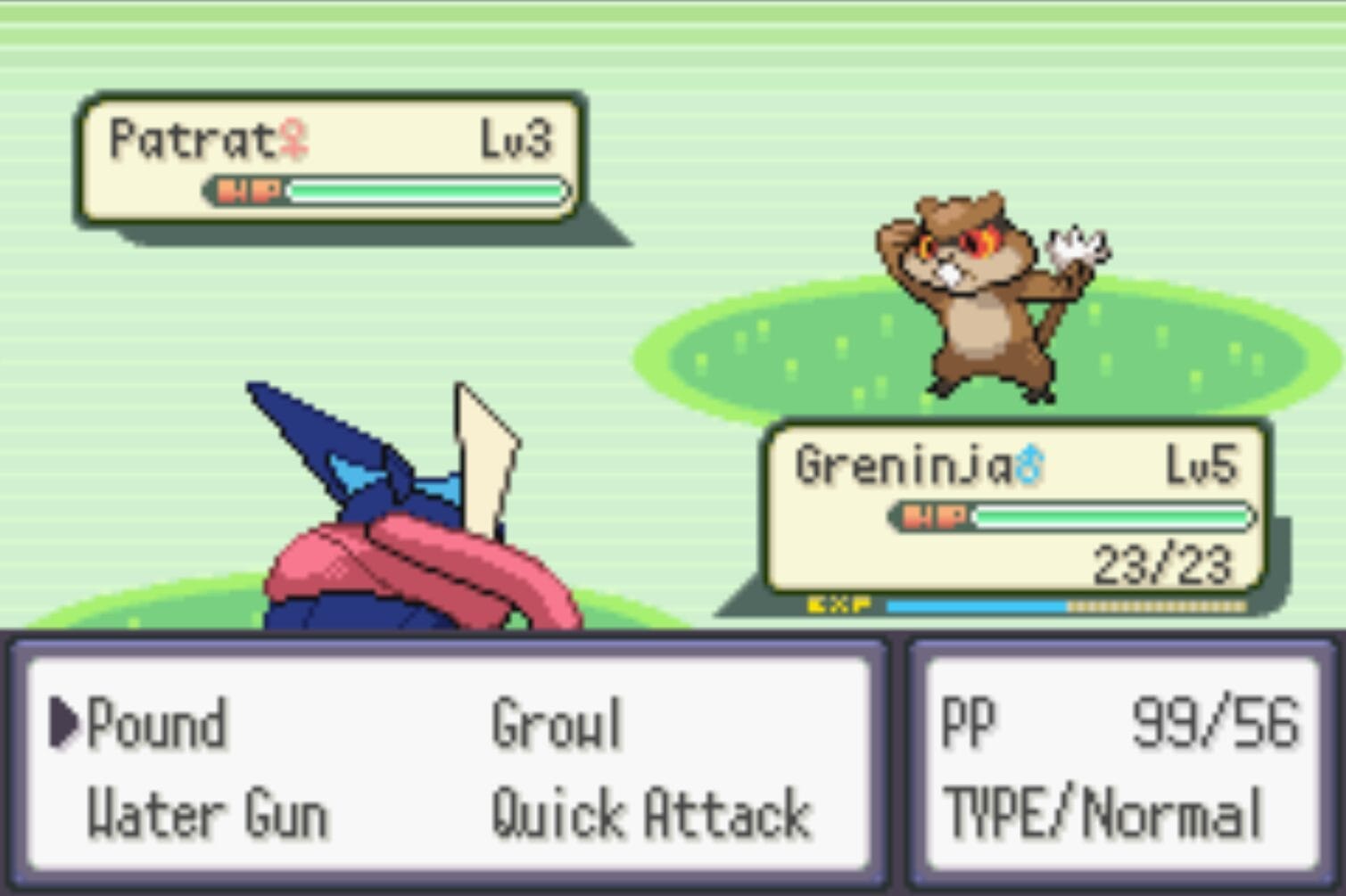 Pokemon Quetzal Cheats | PokemonCoders