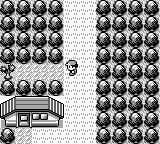 Pokemon Righteous Red Walkthrough | PokemonCoders