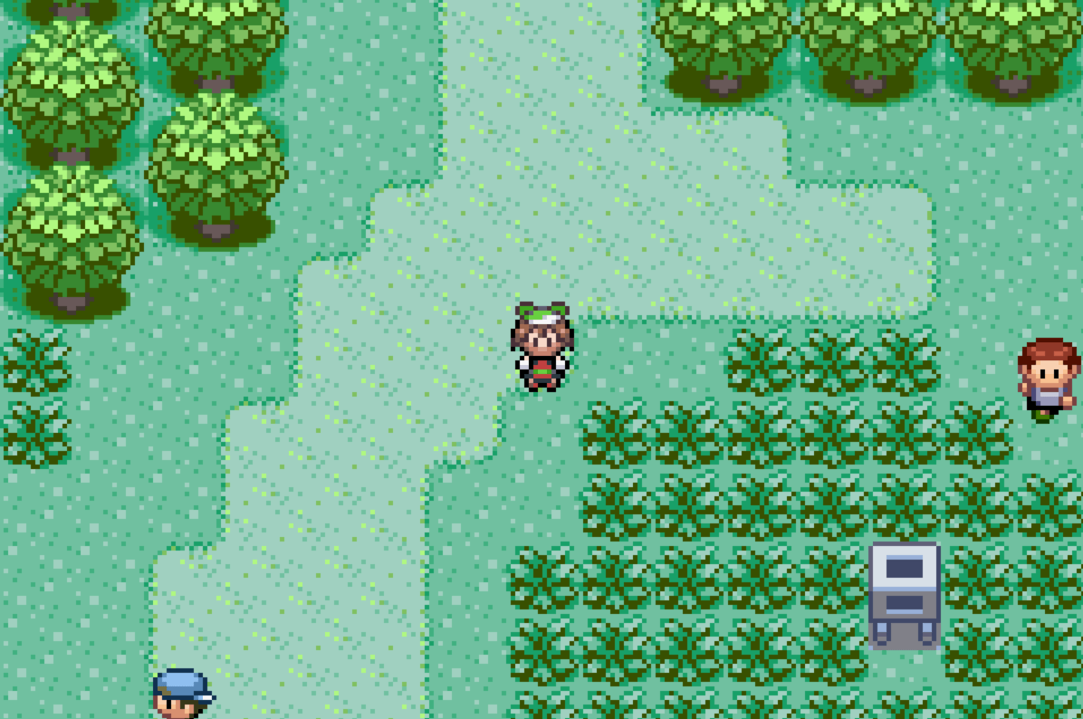 Pokemon Emerald Safari Zone Guide | PokemonCoders