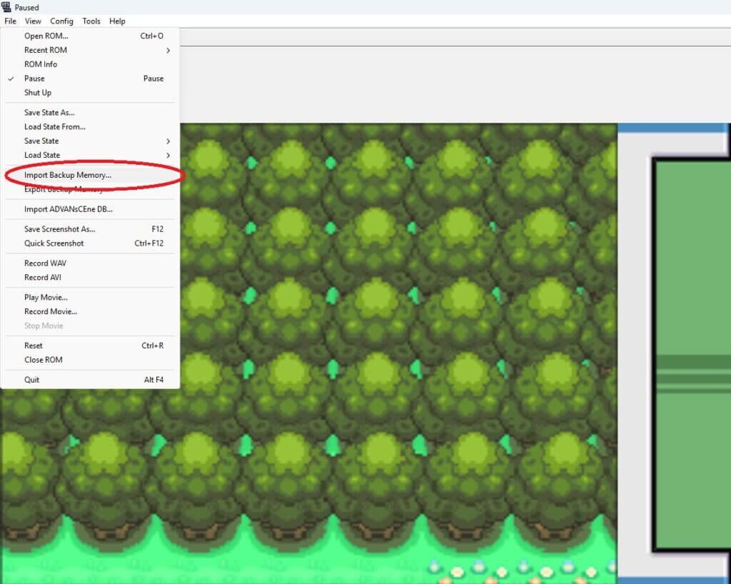 How To Fix Cheats That Stay Active After Disabling In Pokemon DS & ROM Hacks | PokemonCoders