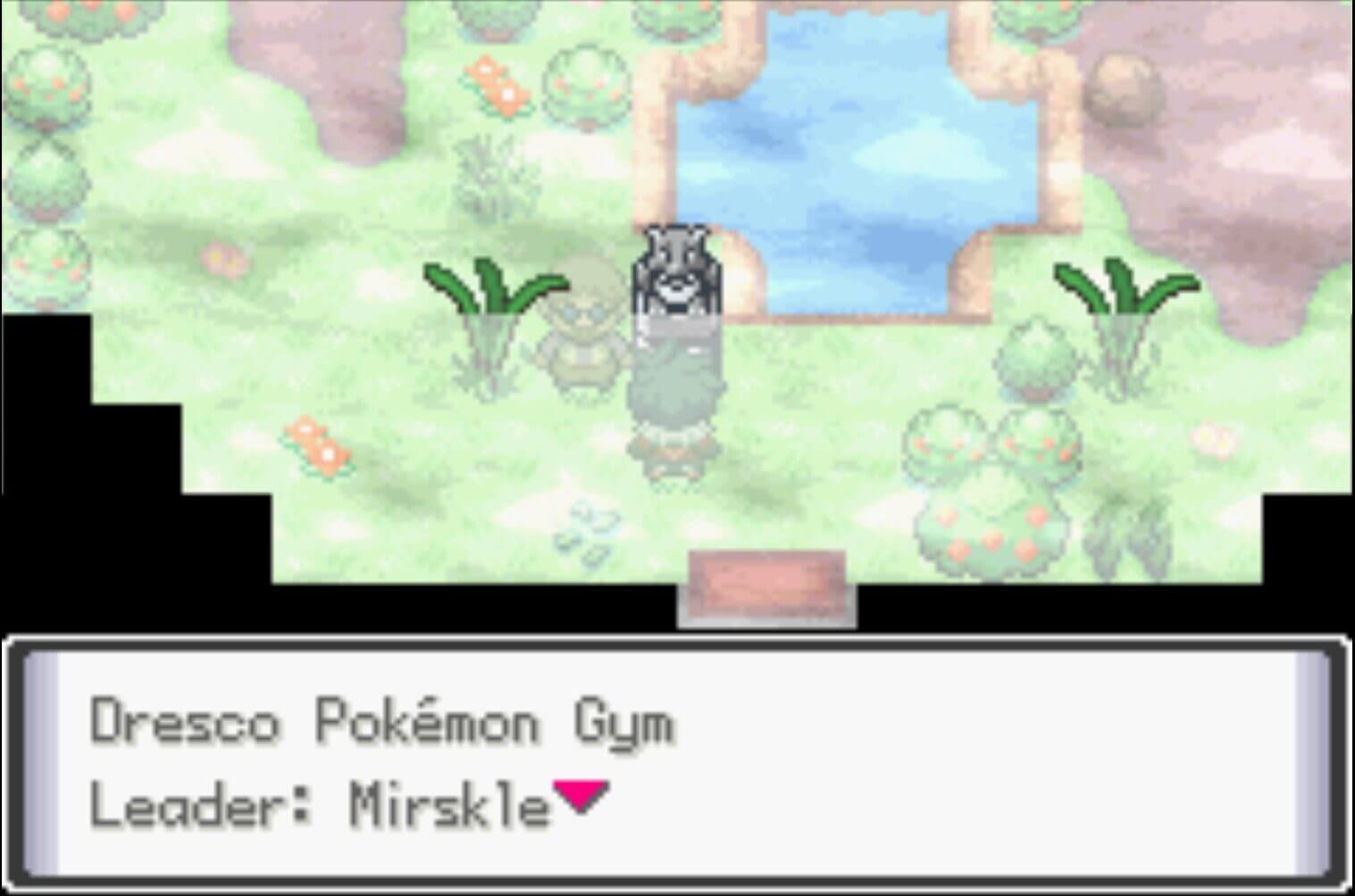 Which One Is The Best Starter In Pokemon Unbound? | PokemonCoders