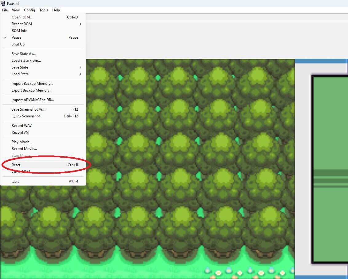 How To Fix Cheats That Stay Active After Disabling In Pokemon DS & ROM Hacks | PokemonCoders