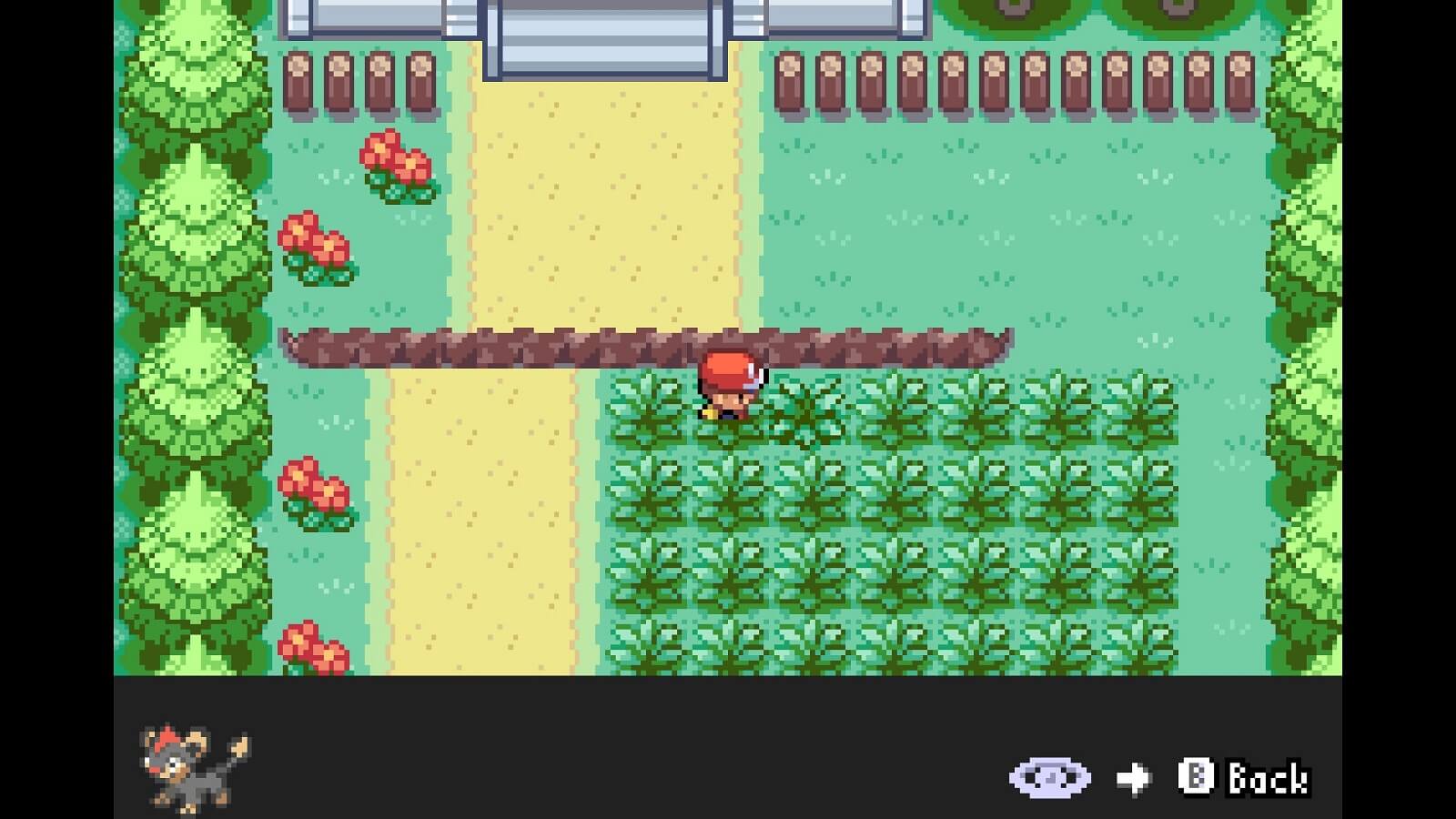 How To Get Shards In Pokemon Radical Red | PokemonCoders
