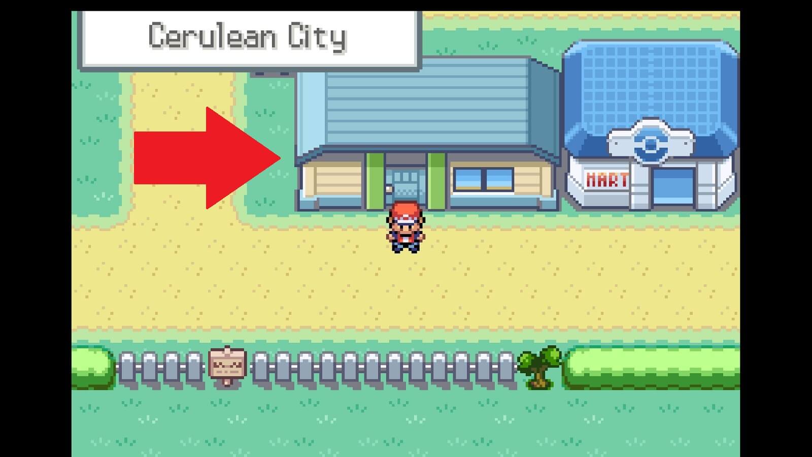 Pokemon Radical Red Move Maniac Puzzle Battle Guide | PokemonCoders