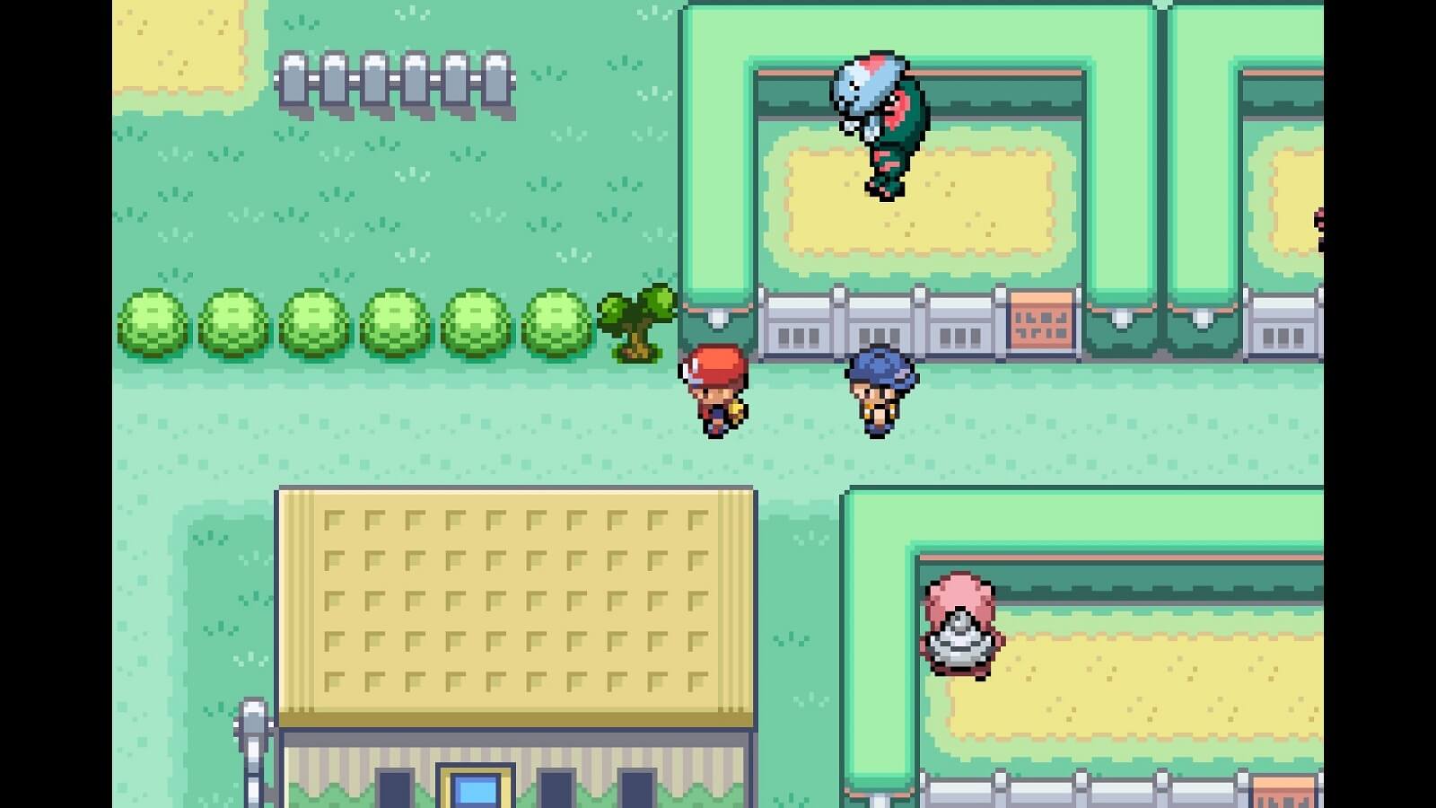 How To Help Erika’s Gloom In Pokemon Radical Red | PokemonCoders