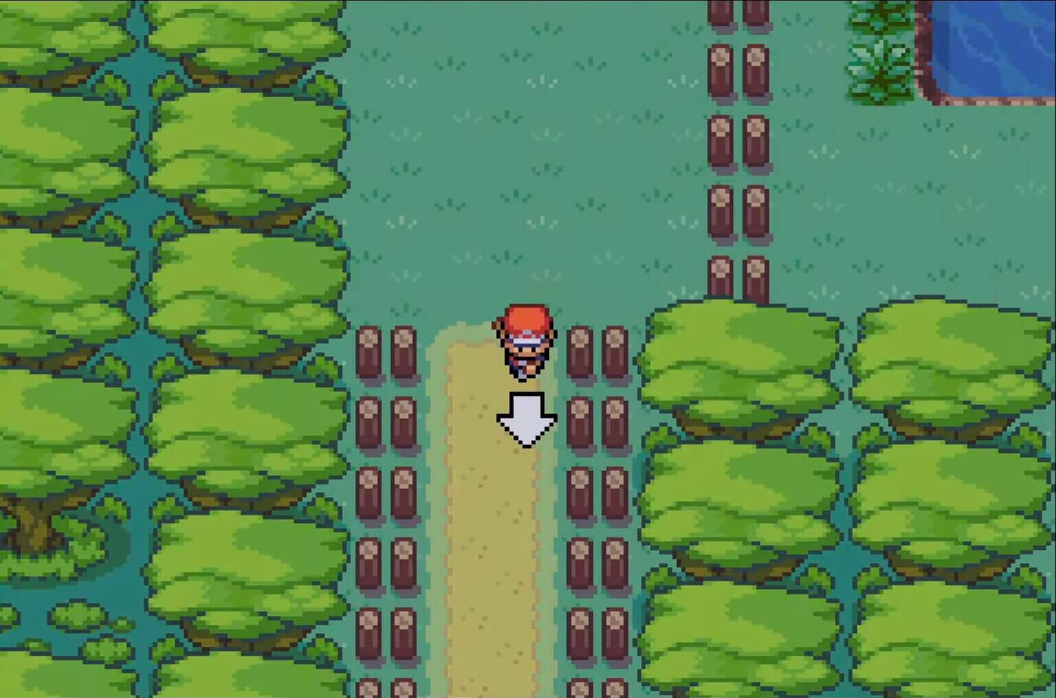 Where To Get Surf In Pokemon FireRed | PokemonCoders