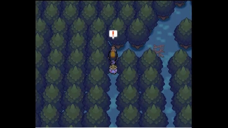 How To Get Cut In Pokemon HeartGold And SoulSilver | PokemonCoders