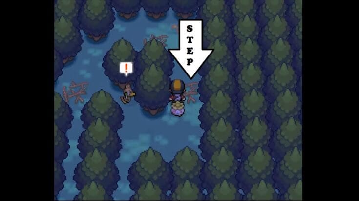 How To Get Cut In Pokemon HeartGold And SoulSilver | PokemonCoders