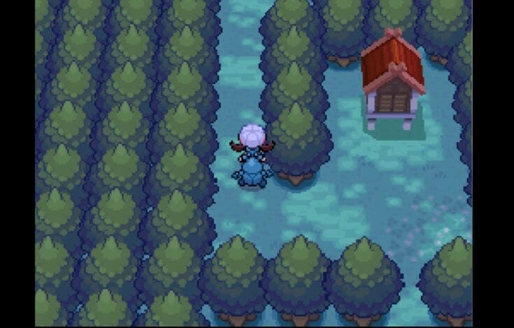 Heracross Location In Pokemon HeartGold And SoulSilver | PokemonCoders